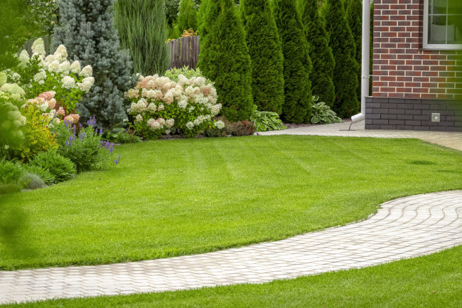 Landscape Design, Winston-Salem, NC | YM Landscape Inc.