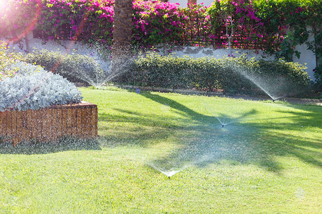Four Reasons Why Proper Irrigation Matters | YM Landscape Inc.